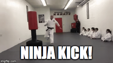 Ninja Kick - Imgflip