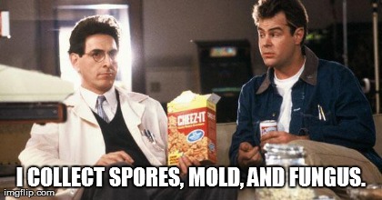 You Gotta To Try This Pole - Imgflip