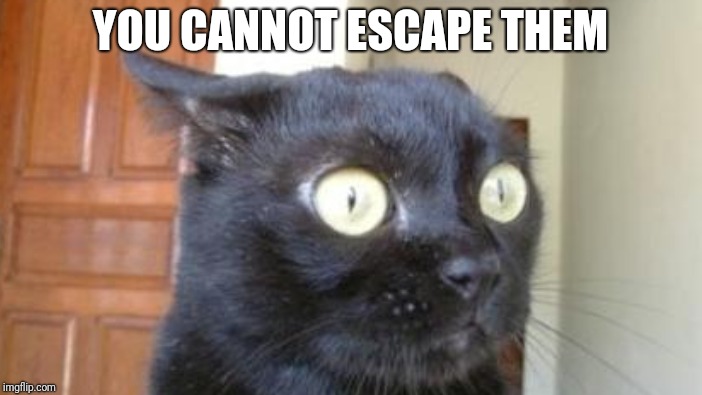 You cannot escape them - Imgflip