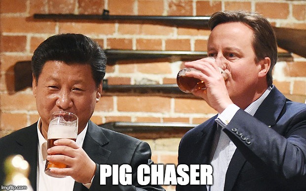 Paper Chaser Memes