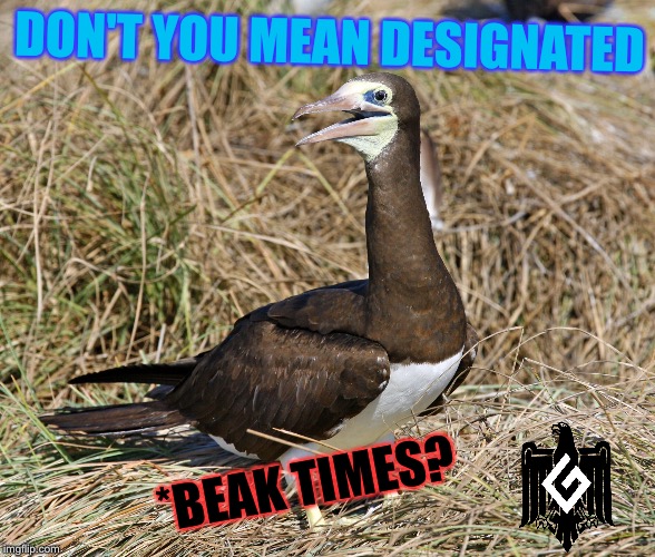 Image tagged in animal,humor,wordplay,foreplay,funny,memes - Imgflip