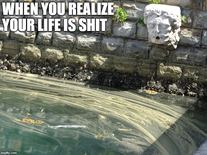 Image tagged in shit life - Imgflip