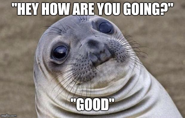 Awkward Seal - Imgflip