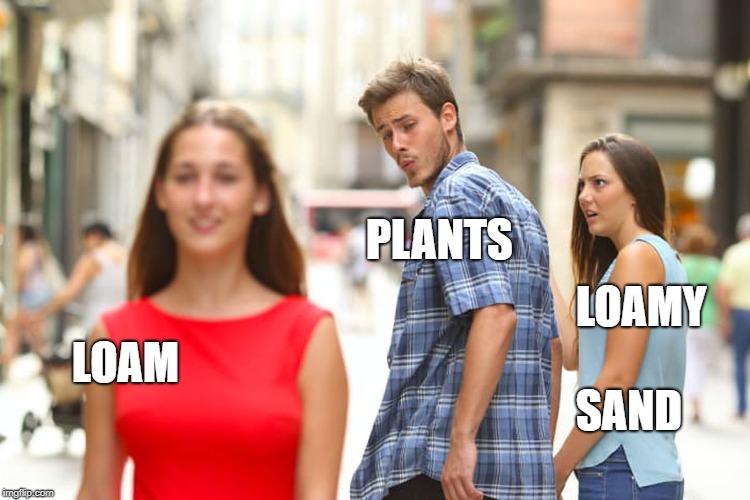 Distracted Boyfriend Meme - Imgflip