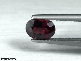 Animated GIF - Imgflip