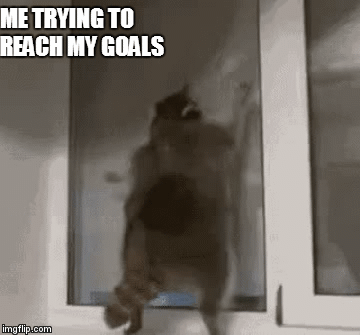 Goals - Imgflip