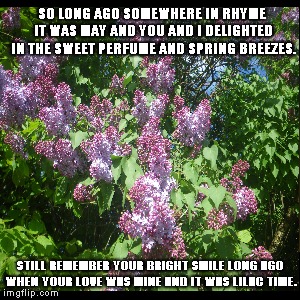 In Remembrance of Lilac Time - Imgflip