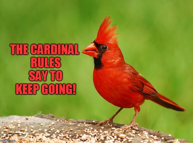 Cardinal Panther Memes