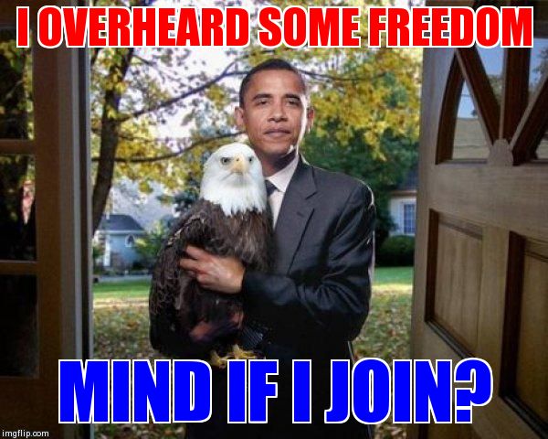 Image tagged in freedom - Imgflip