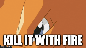Kill It With Fire - Imgflip