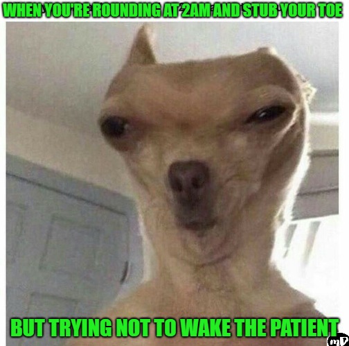 Image tagged in medical,nurse,tech,hospital - Imgflip