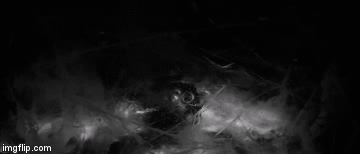 The Terror - Imgflip