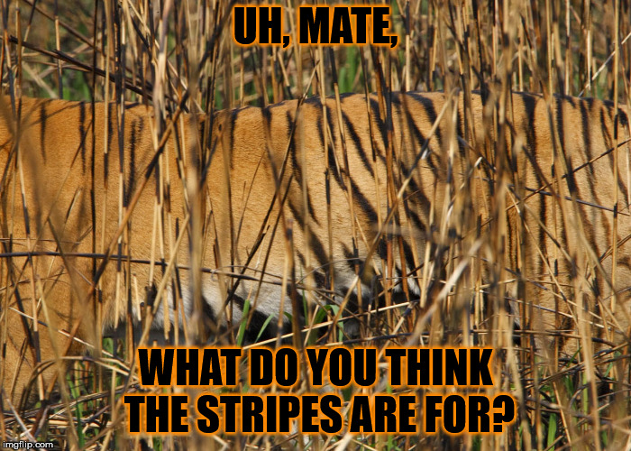 Visibility problems - Imgflip