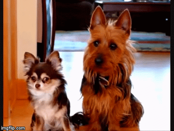 Who made this mess?! - Imgflip