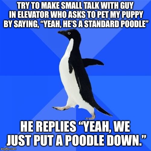 Socially Awkward Penguin Meme - Imgflip
