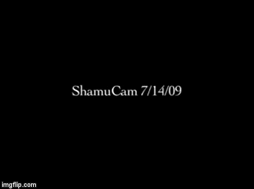 Shamu Cam Gif - Imgflip