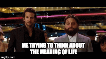 meaning of life - Imgflip