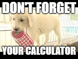 puppy math - Imgflip