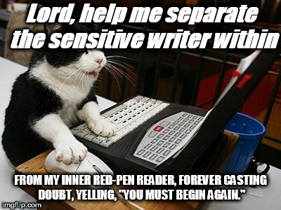 cat laptop - Imgflip