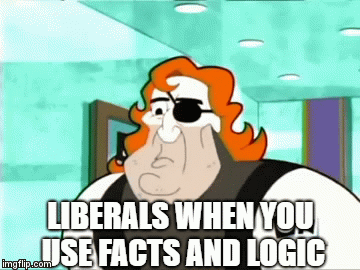Liberals when you use facts and logic. - Imgflip