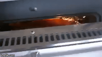 When you're baking your fish and it's still trying to make it to the ...