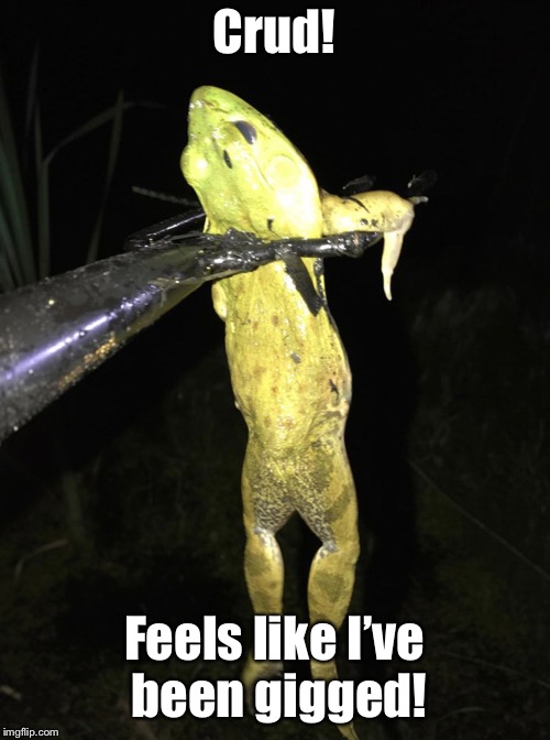 I Like Frogs - Imgflip