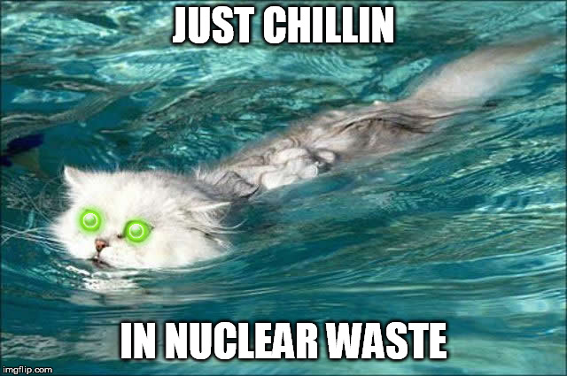 Grumpy Cat Meme - Imgflip