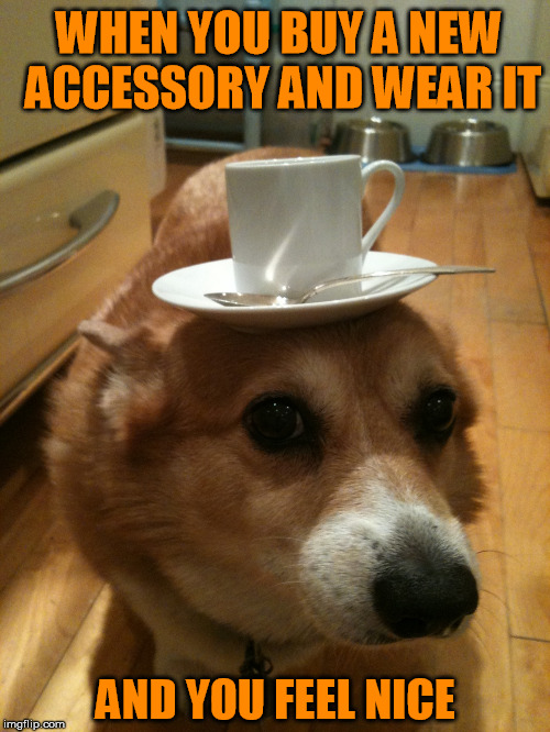 I crap I gotta put up with... - Imgflip