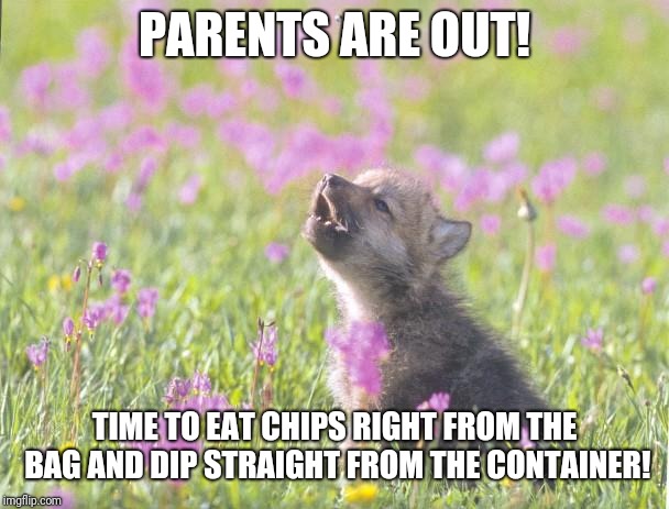 Baby Insanity Wolf Meme - Imgflip