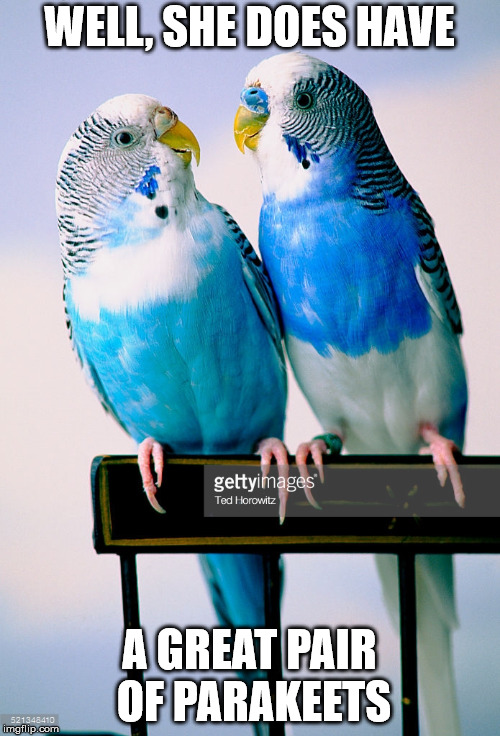 everybody knows that the bird is the word - Imgflip