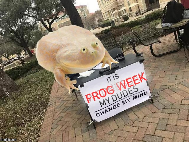 Trying to keep up with Frog Week - Imgflip
