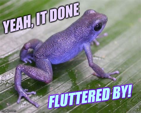 Fight nor Flight (Frog Week June 4-10, a JBmemegeek & giveuahint event ...