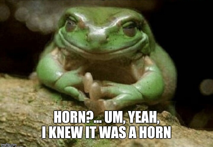 Thanks to everyone for participating in Frog Week! ~Much love from ...