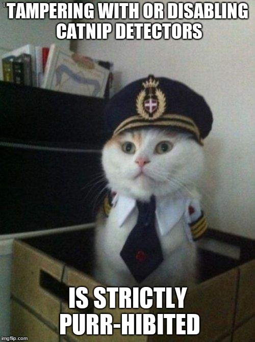 Captain Cat - Imgflip