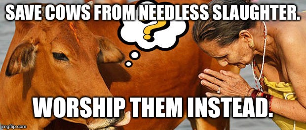 PETA's newest burger lovin' member - Imgflip