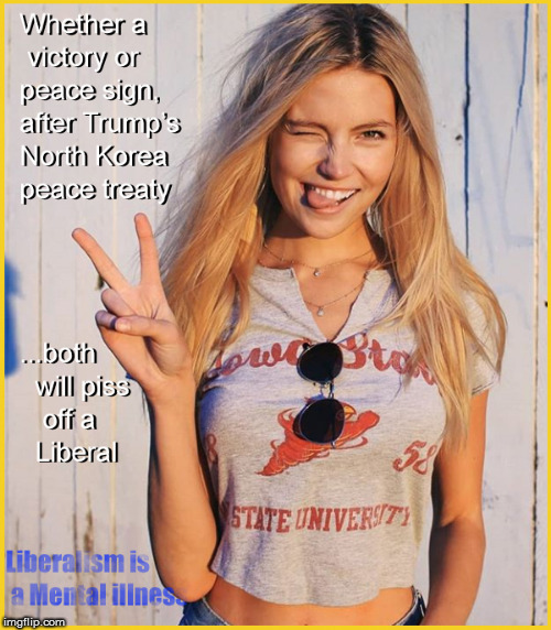 Peace Or Victory Imgflip