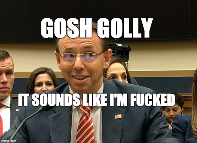 Rod Rosenstein - Imgflip