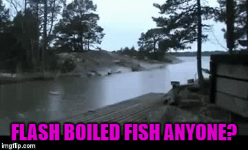 Flash boiled fish anyone? - Imgflip