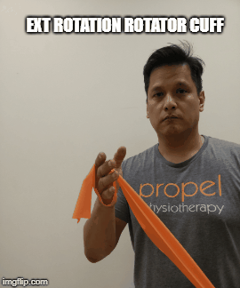 Ext Rotation Rotator Cuff Isolation - Hitchhiker - Imgflip
