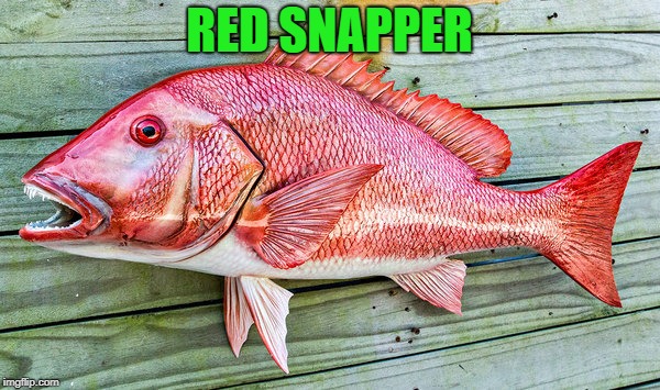 Millennials, they are the future..... - Imgflip