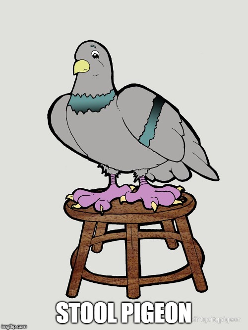 joearizona's Profile - Imgflip