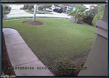 Lightning Strike in our yard - Imgflip