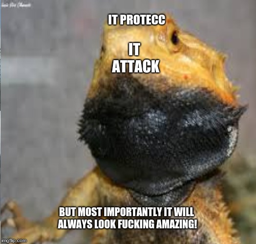 it will always protecc - Imgflip