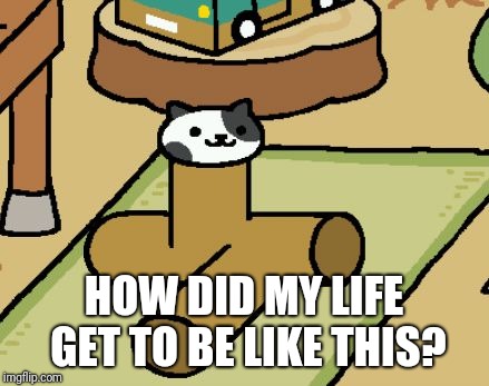 Image tagged in cat tube head - Imgflip