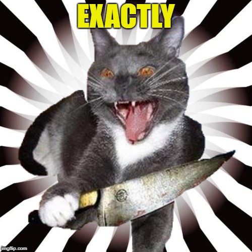 Image Tagged In Angry Cat Imgflip