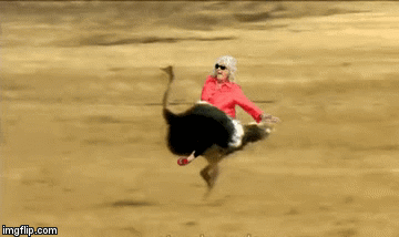 When you`re stranded in the desert and your car runs out of gas - Imgflip