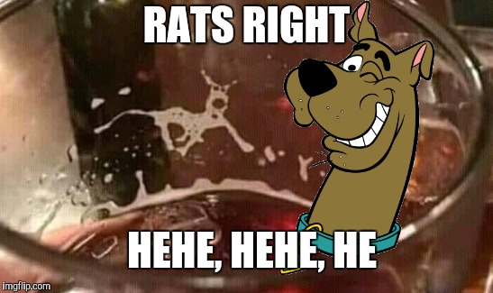 I'm guessing it's probably both! - Imgflip