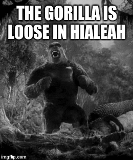 King of Hialeah - Imgflip