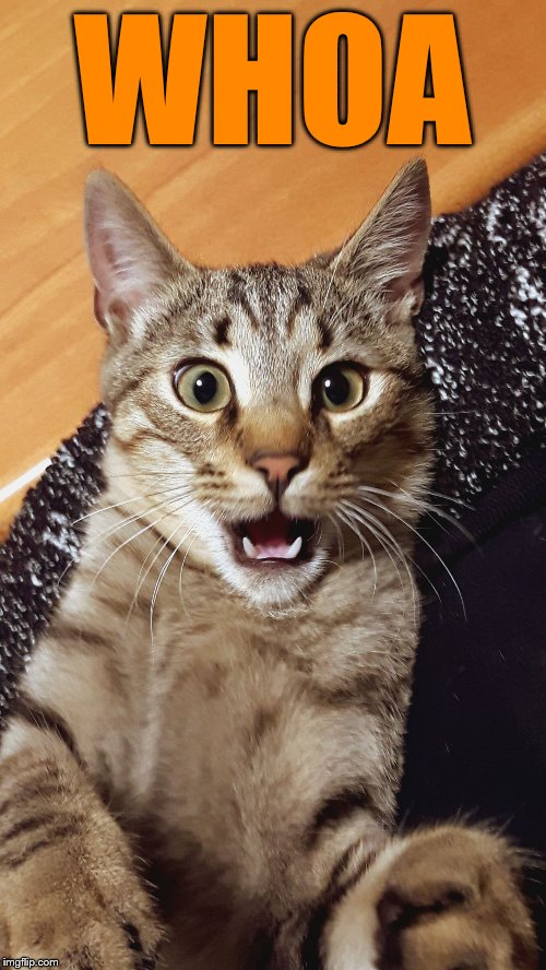 (Meme courtesy of SpursFanFromAround.) - Imgflip