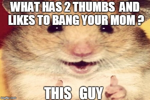 todd packer hamster version - Imgflip